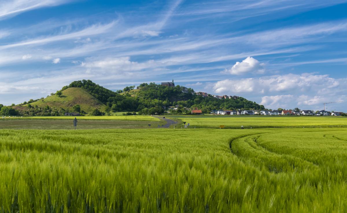 „Typisch Hessisch Award“ geht nach Frankfurt, Rüdesheim und Edermünde ...